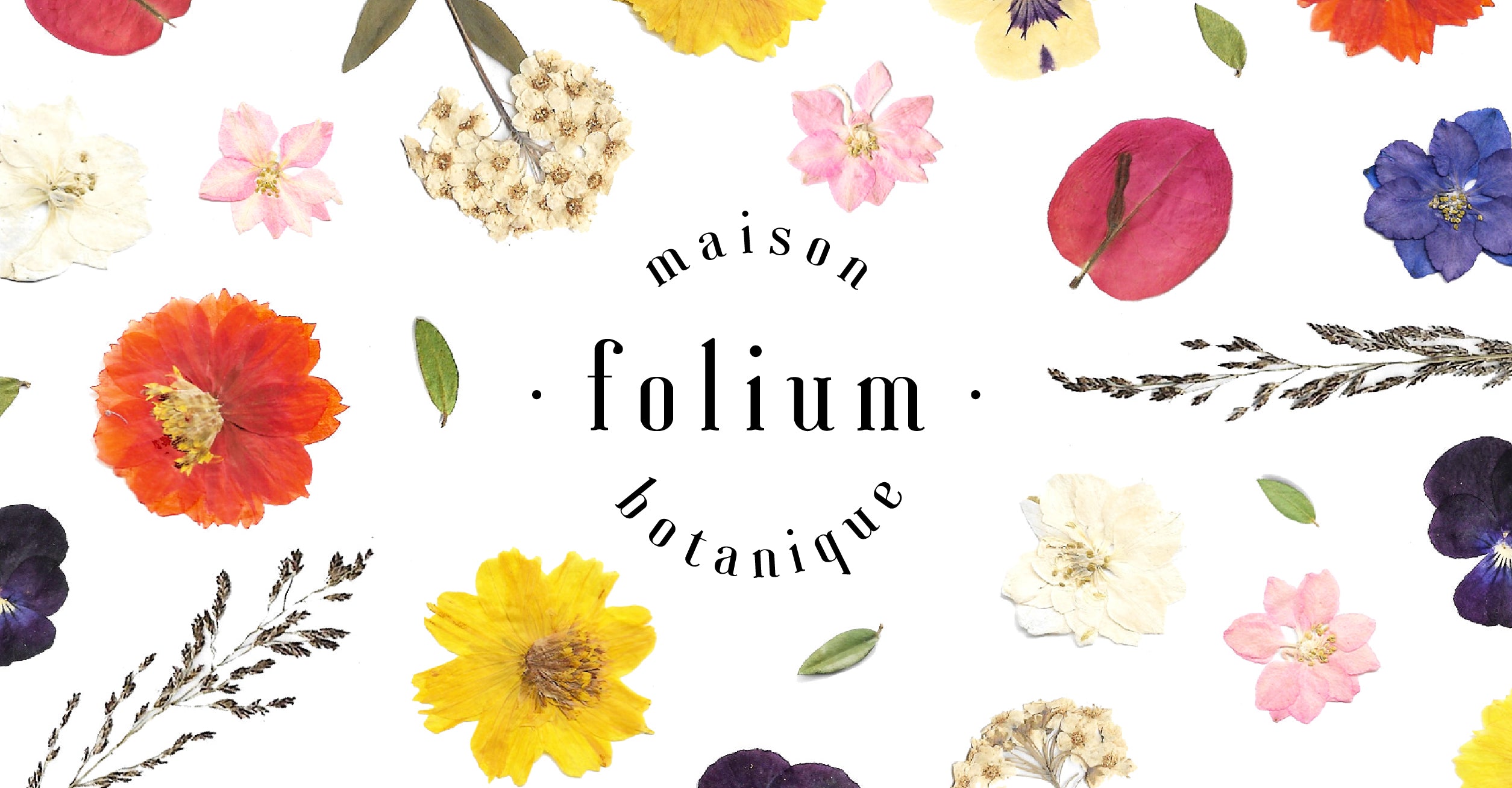 A propos – Folium - Maison Botanique